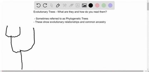 SOLVED What Is A Tree Data Structure And What Are Its Basic Components