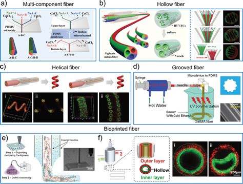 Microfluidic Platforms For Programming Cell‐laden Microfibers Download Scientific Diagram