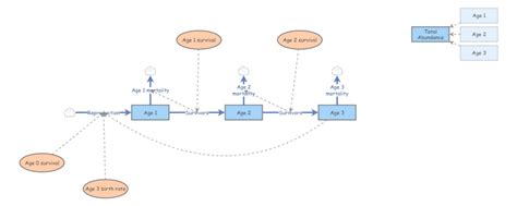 Lab 4 Age Structured Insight Maker