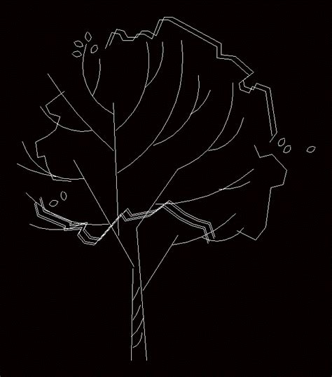 Tree DWG Elevation For AutoCAD Designs CAD