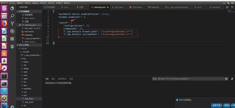 VScode使用问题 vscode 正在启动生成 CSDN博客