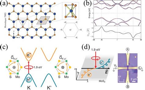 Crystal Structure And Properties Of Monolayer H Phase Mos2 A Crystal
