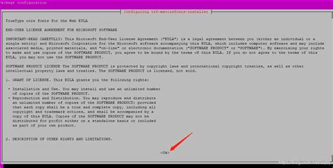 Ubuntu Times Roman 字体安装ubuntu系统安装新罗马字体 Csdn博客