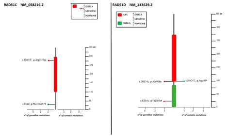 Lolliplots Showing Germline And Somatic Variant Spectrum Both Download Scientific Diagram