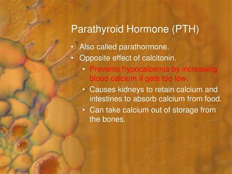 Introduction Nervous System And Endocrine System Share Responsibility For Control And