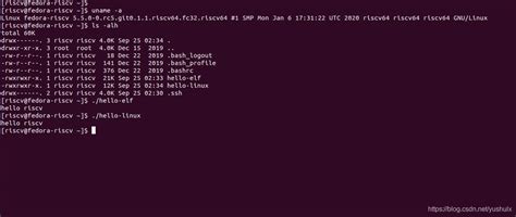 搭建risc v编译环境与运行环境 搭建risv v向量指令运行文件 csdn博客