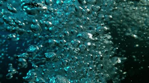 Video Yasoda Krishna On Linkedin Iqvia Worldenvironmentday