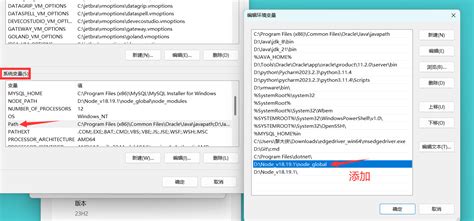 最新最详细的配置Node js环境教程 技术栈