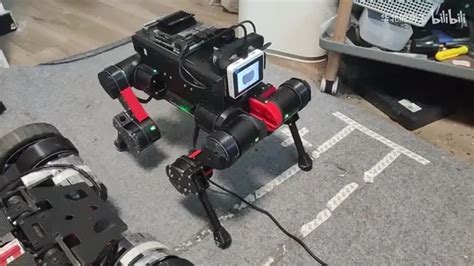 [video] Fernando Bussinello Posted On Linkedin