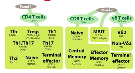 单细胞测序基础知识 Csdn博客