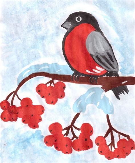 Снегирь картинка для детей в школу и в детский садик