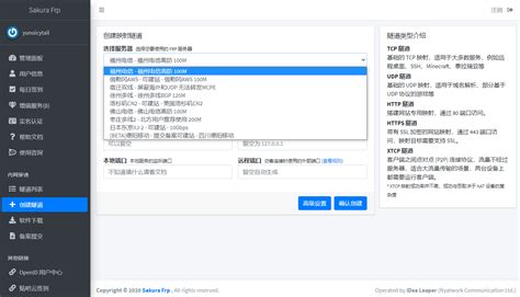 使用sakura Frp 将本地vncserver端口映射到公网上sakura端口映射 Csdn博客