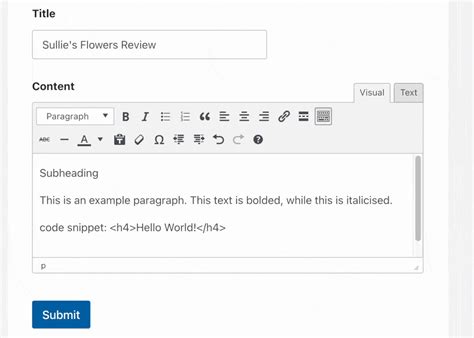 Using The Rich Text Field