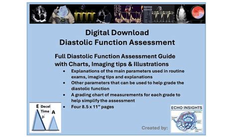Diastolic Function Echo Assessment Guide Echocardiogram Cardiology