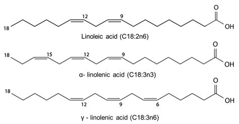 Difference Between Alpha Linolenic Acid And Linoleic Acid At Gilberto