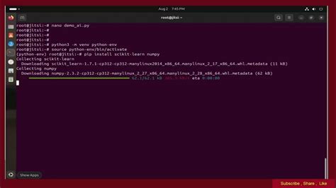 How To Run A Python Script On Ubuntu 24042 Lts Youtube