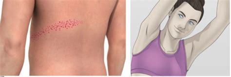 Week 3 Flashcards Quizlet