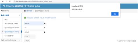 Pikachu靶场练习（详细，完整，适合新手阅读） Csdn博客