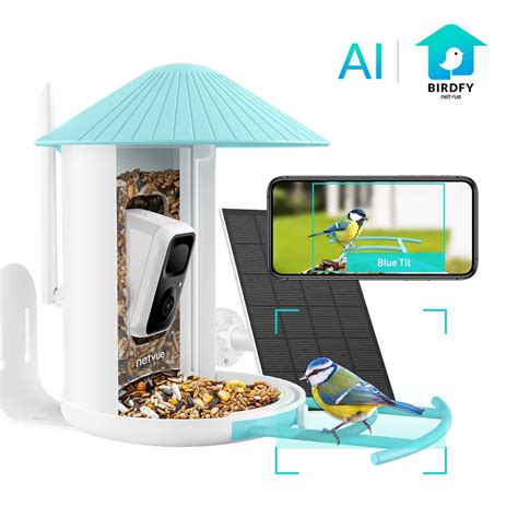 bird feeder with camera netvue birdfy smart bird feeder with ai