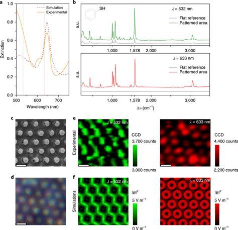 Hpc Plasmonic Crystal Membranes As Sers Substrates A Representative