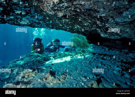 Underwater Ginnie Springs Florida Fresh Water Spring Cavern Scuba Sport