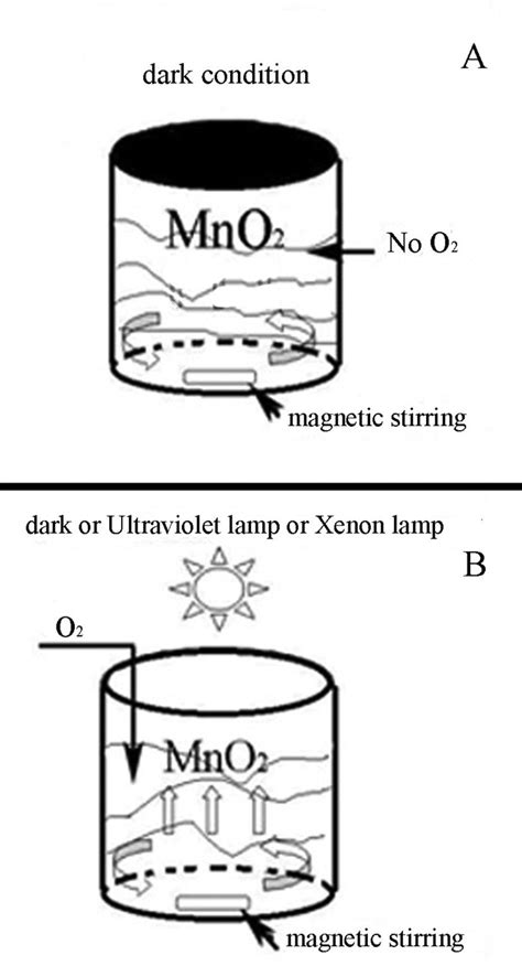 The Reactor For The Experiments A Is For The Adsorption Experiments B