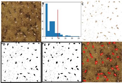 There Were Six Stages In The Machine Learning Algorithm For Identifying