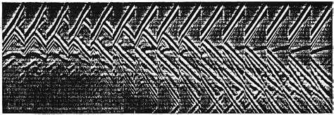 2 D Acoustic Finite Difference Synthetics Generated From The Velocity