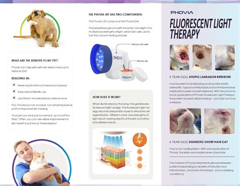 Phovia Bronson Vet Services