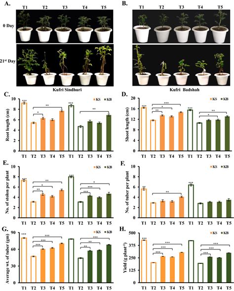 Effect Of Foliar Application Of Salicylic Acid Sa And Methyl