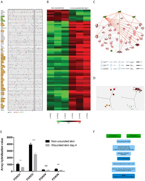 Re Analysis Of A Microarray Data Set From On Non Wounded And In Download Scientific