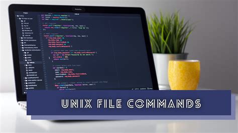 10 Unix File Management Commands That Every Developer Should Know By