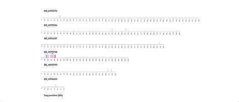 distribution plots of snp variants identified from bioinformatic