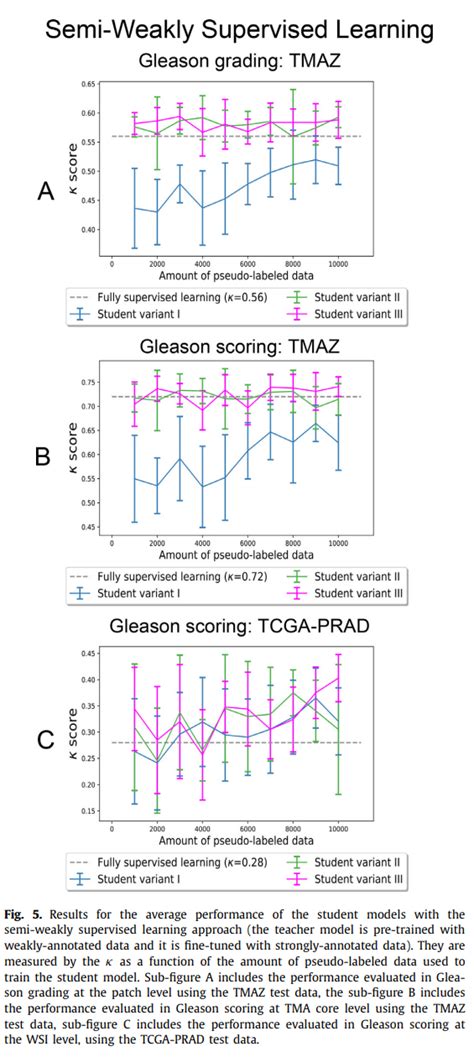 Semi Supervised Training Of Deep Convolutional Neural Networks With