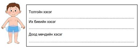 Мэдлээ Цахим контент