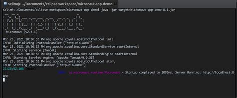 GitHub SelimHorri Micronaut App Demo Bootstrap A Micronaut Java Application