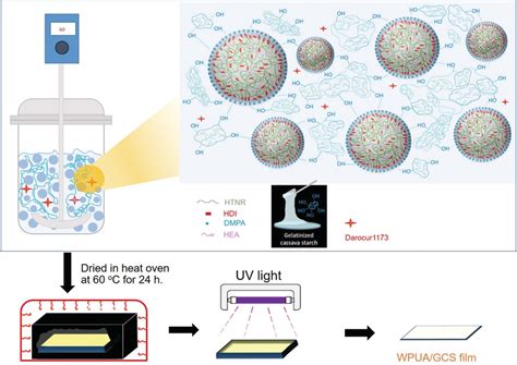 Uv‐cured Waterborne Polyurethane Acrylategelatinized Cassava Starch