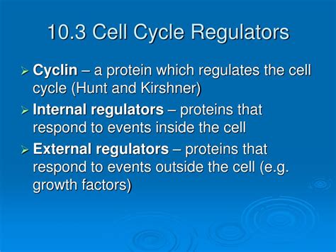 Ppt Section 10 1 Cell Reproduction Powerpoint Presentation Free