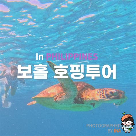 보홀 호핑투어 후기 돌고래 발리카삭 거북이 푼톳 버진아일랜드까지 네이버 블로그