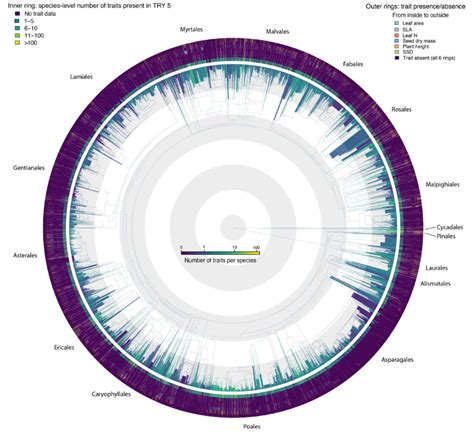 Try Plant Trait Database Enhanced Coverage And Open Access Rsc4earth
