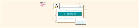 W Command In Linux Scaler Topics