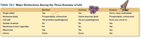 Bio 112 Chapter 19 Flashcards Quizlet