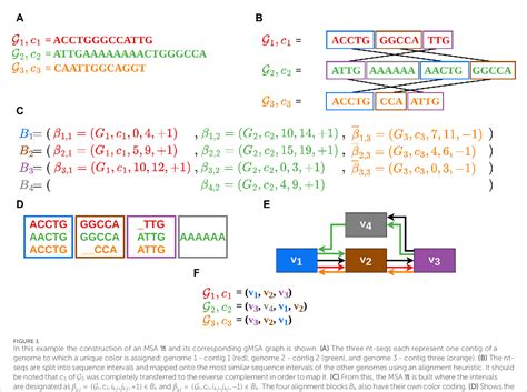 Figure 1 From A Layout Framework For Genome Wide Multiple Sequence Alignment Graphs Semantic