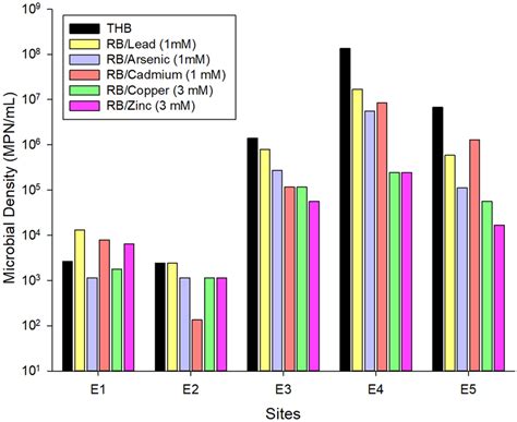 Total And Metal Resistant Heterotrophic Bacterial Densities Obtained