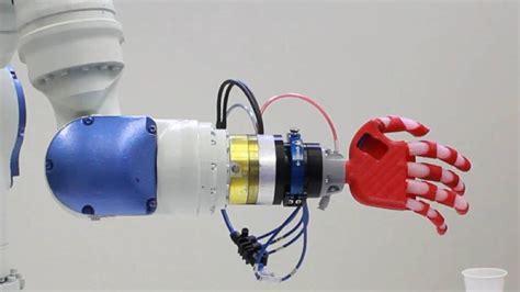 Scientists Engineer Affordable Safe Soft Robotic Hand Lifeboat News