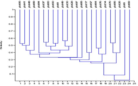 Dendrogram Constructed From Similarity Jaccard Index Matrix Based On