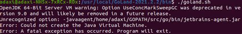 运行 Golandsh报错openjdk 64 Bit Server Vm Warning Option