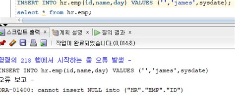 [oracle] 제약 조건 primary key