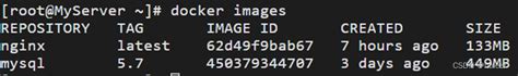 docker容器实验报告 finalshell安装docker实验报告 csdn博客