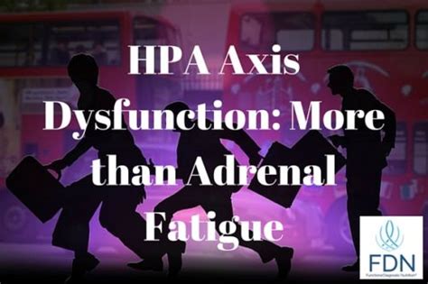 HPA Axis Dysfunction More Than Adrenal Fatigue